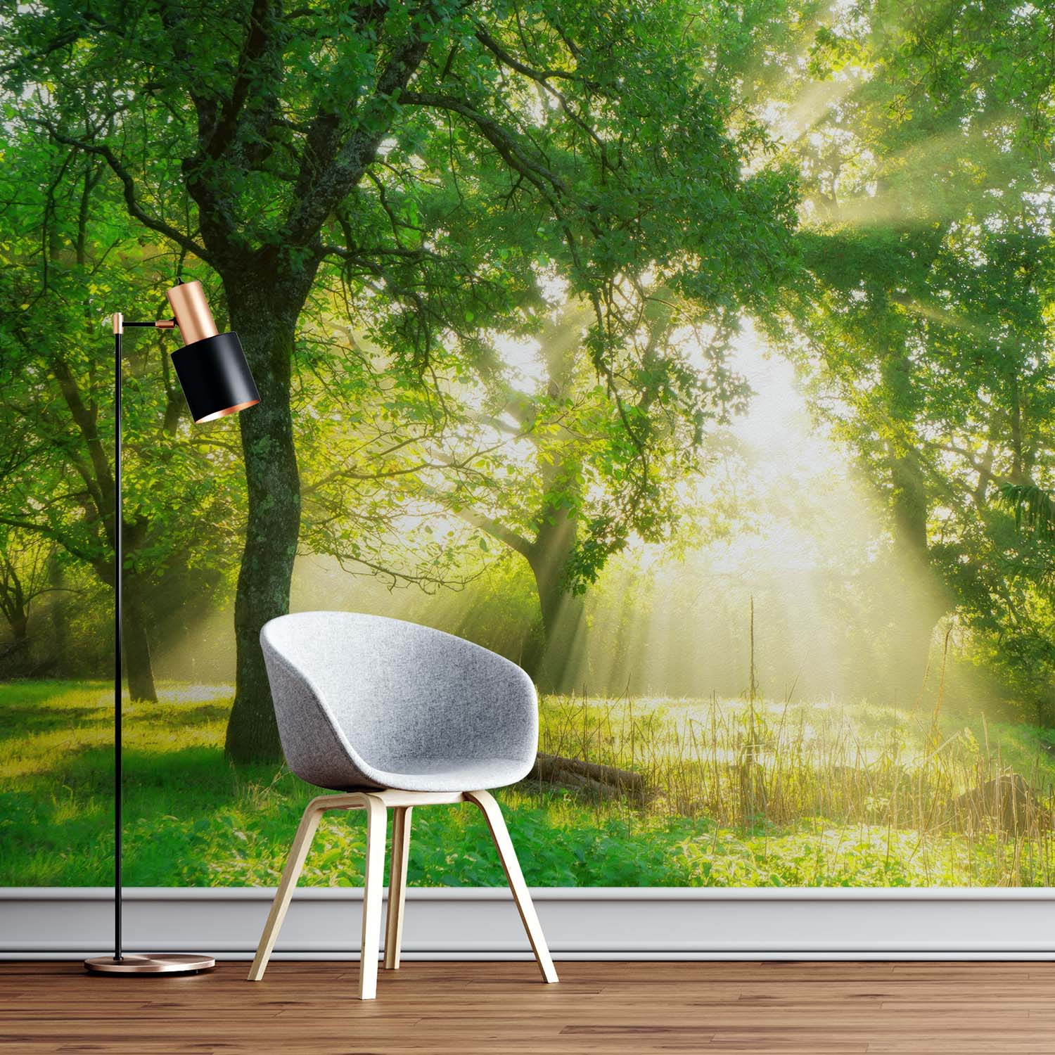 Zonsondergang bos behang Topkwaliteit en Uniek Design | Trendingwall