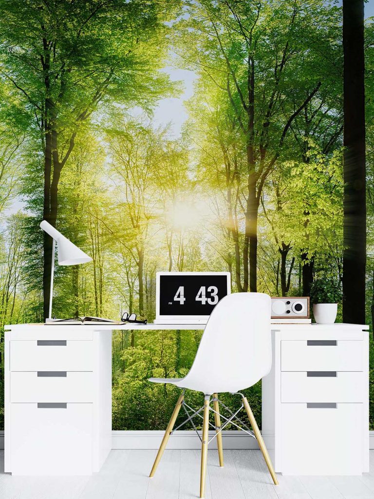 Groen Bos Natuur Behang Topkwaliteit en Uniek Design | Trendingwall