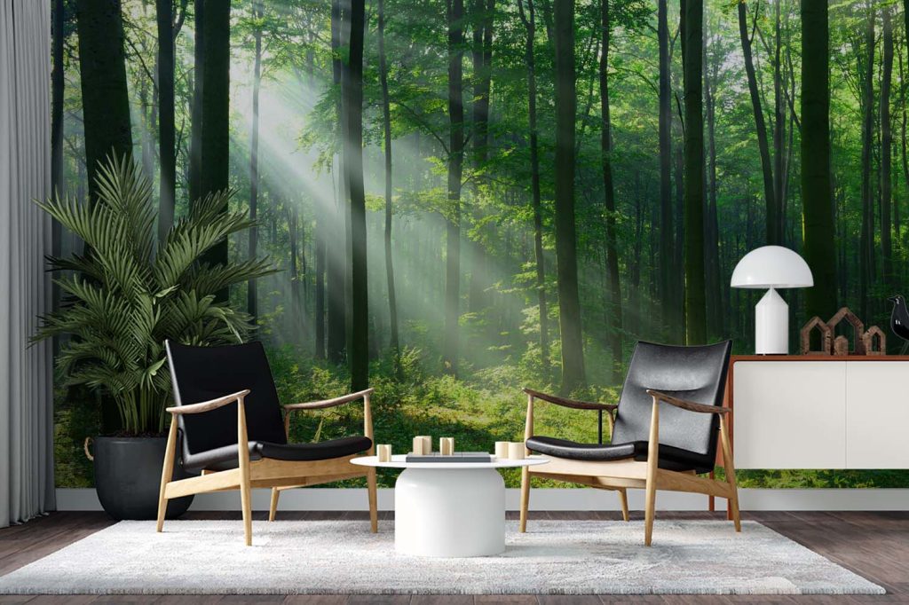 Majestueuze Bos Natuur Behang Topkwaliteit en Uniek Design | Trendingwall